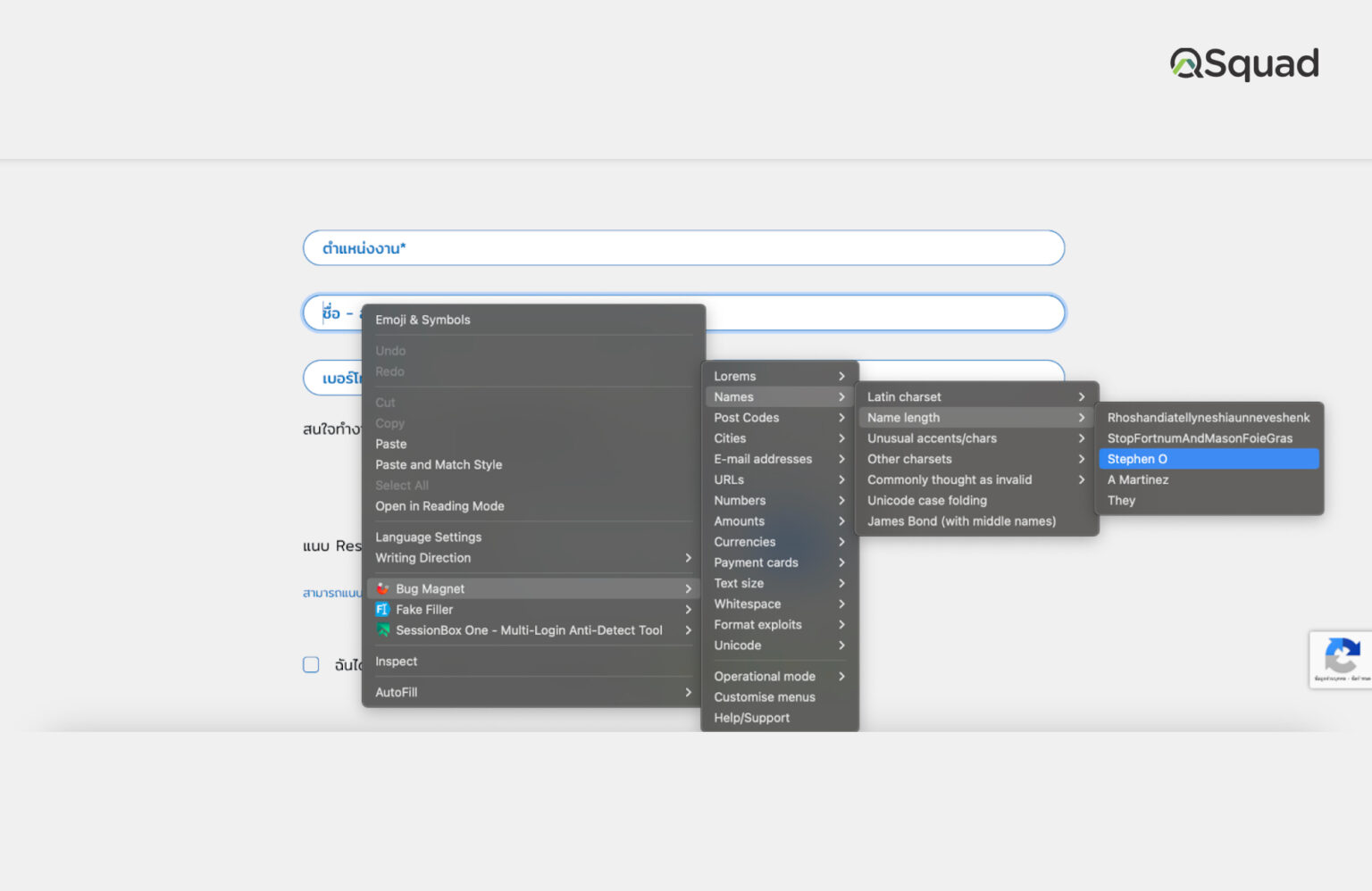 Bug Magnet เครื่องมือสำหรับช่วยกรอกข้อมูลหน้า web – QSquad